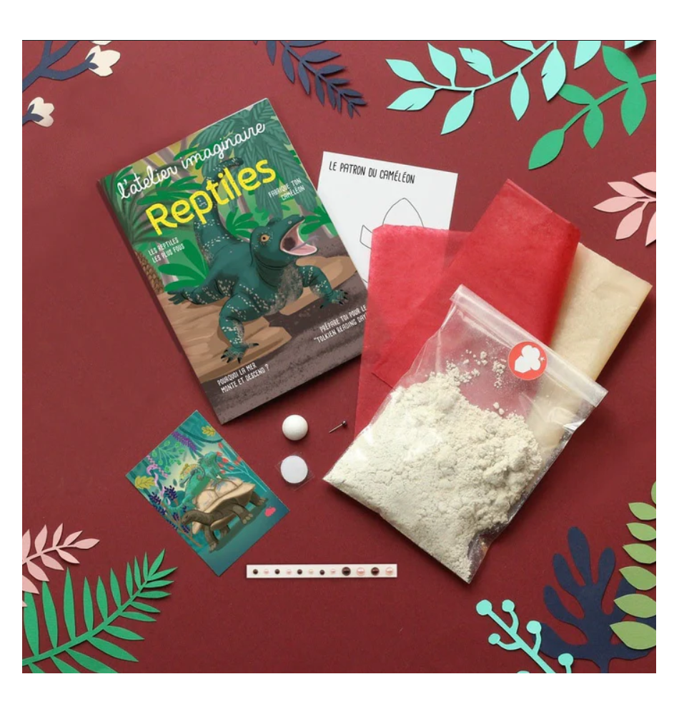 Coffret les Reptiles | Activité manuelle ludique - Dès 7 ans