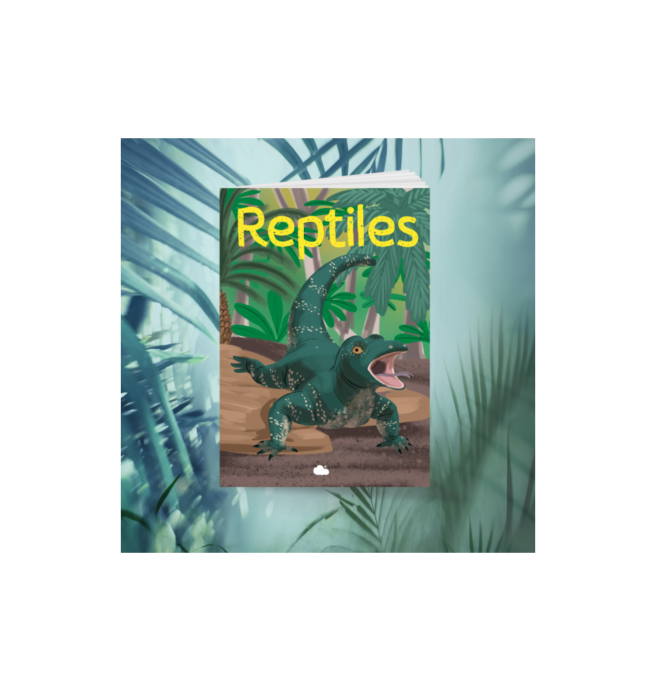 Coffret les Reptiles | Activité manuelle ludique - Dès 7 ans