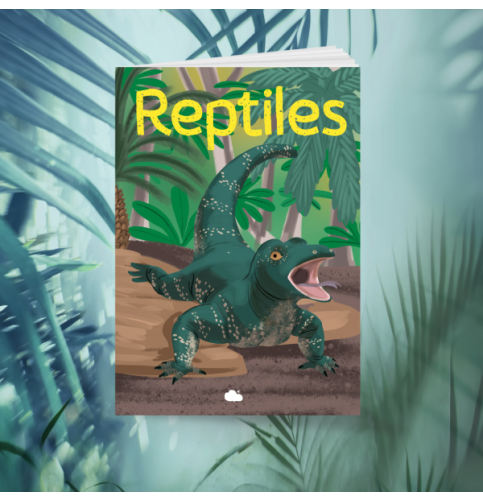 Coffret les Reptiles | Activité manuelle ludique - Dès 7 ans