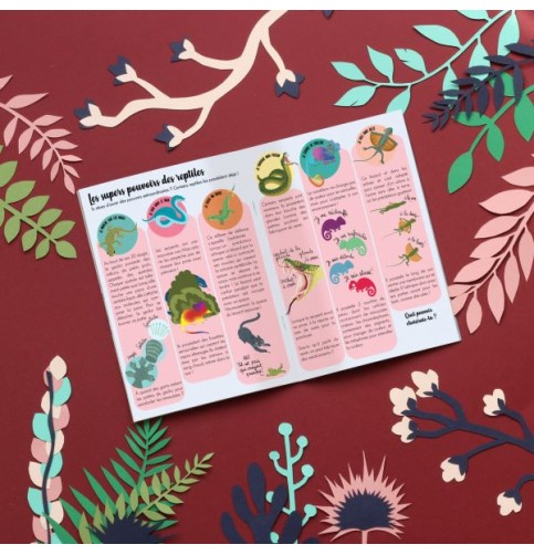 Coffret les Reptiles | Activité manuelle ludique - Dès 7 ans