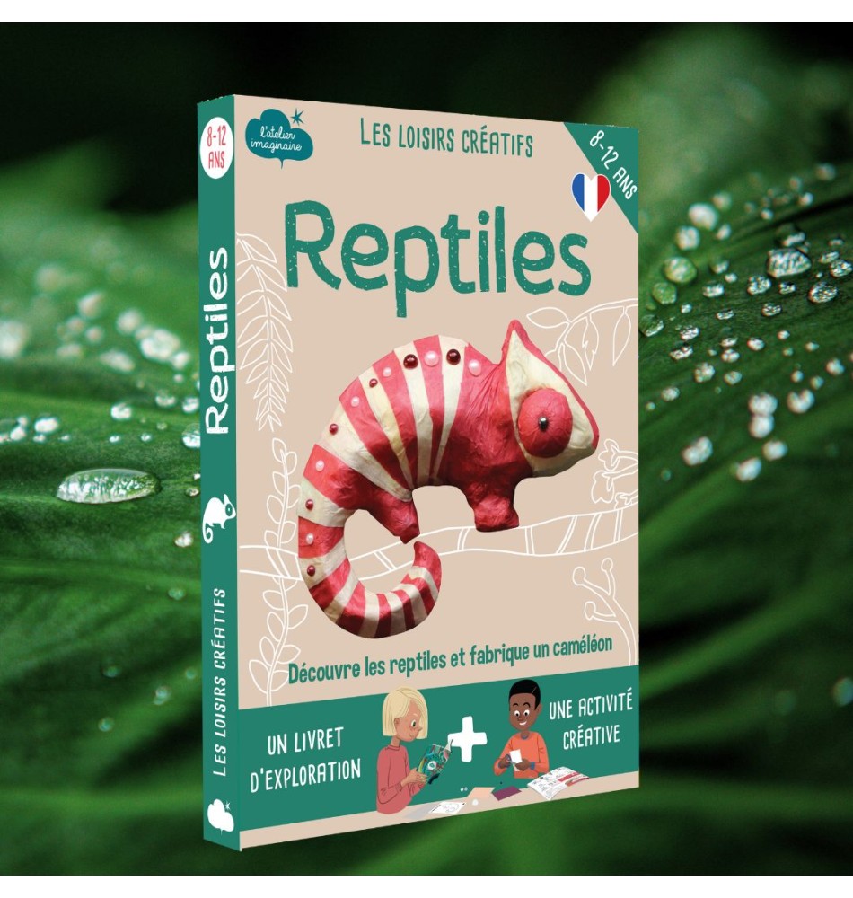 Coffret les Reptiles | Activité manuelle ludique - Dès 7 ans